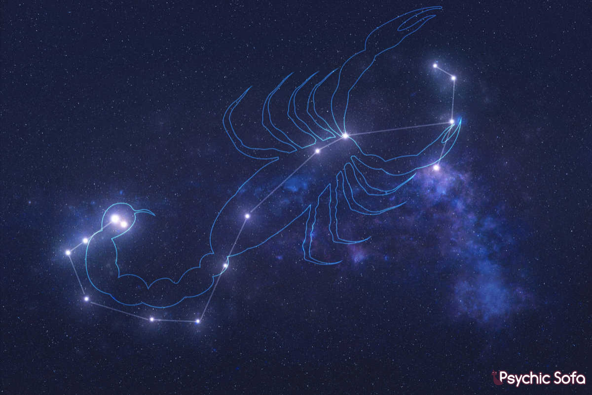 What do 'Scorpio Season' memes mean for you? | Psychic Sofa | Psychic Sofa